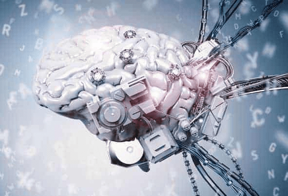 ADHD Nervous System and Its Critical Role in Behavior